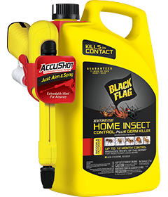 Extreme Home Insect Control Concentrate₂