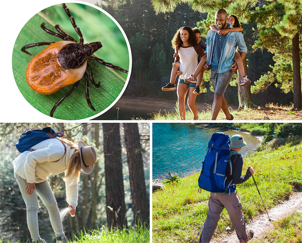 best bug biting control camping dry deet dry easy eucalyptus free ...