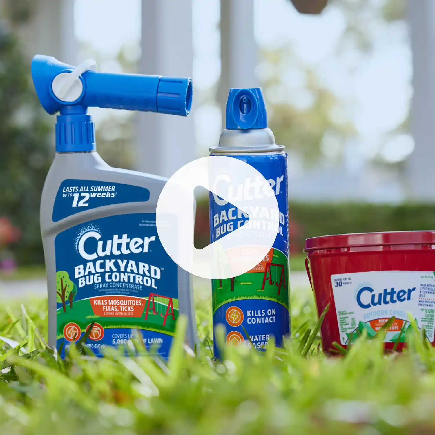 Backyard™ Bug Control Spray Concentrate (Ready-To-Use) | Cutter
