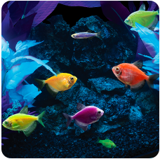 GloFish Blue LED Bubbler