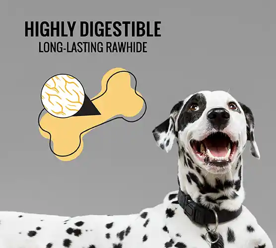 rawhide manufacturing process