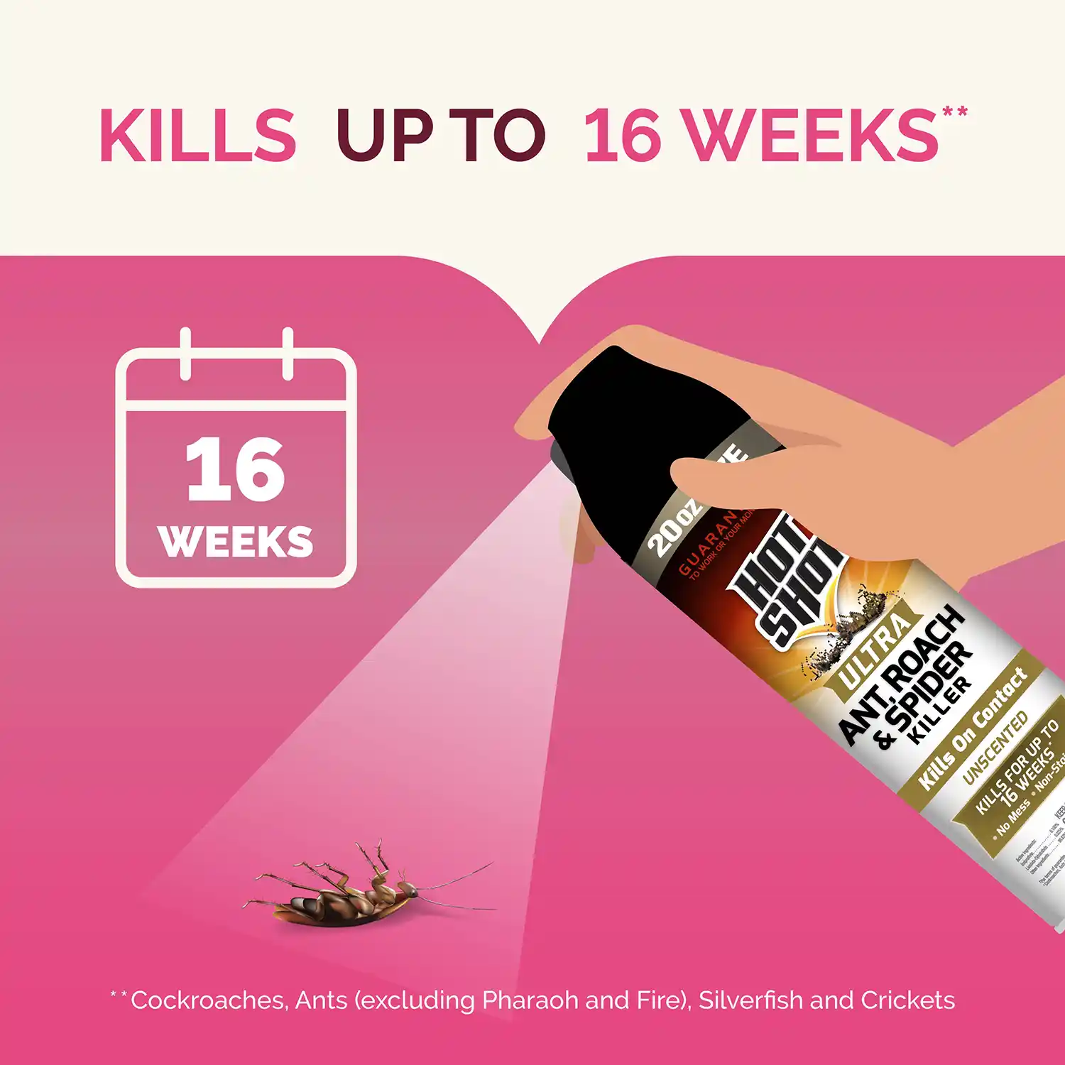 spider killer bug spray