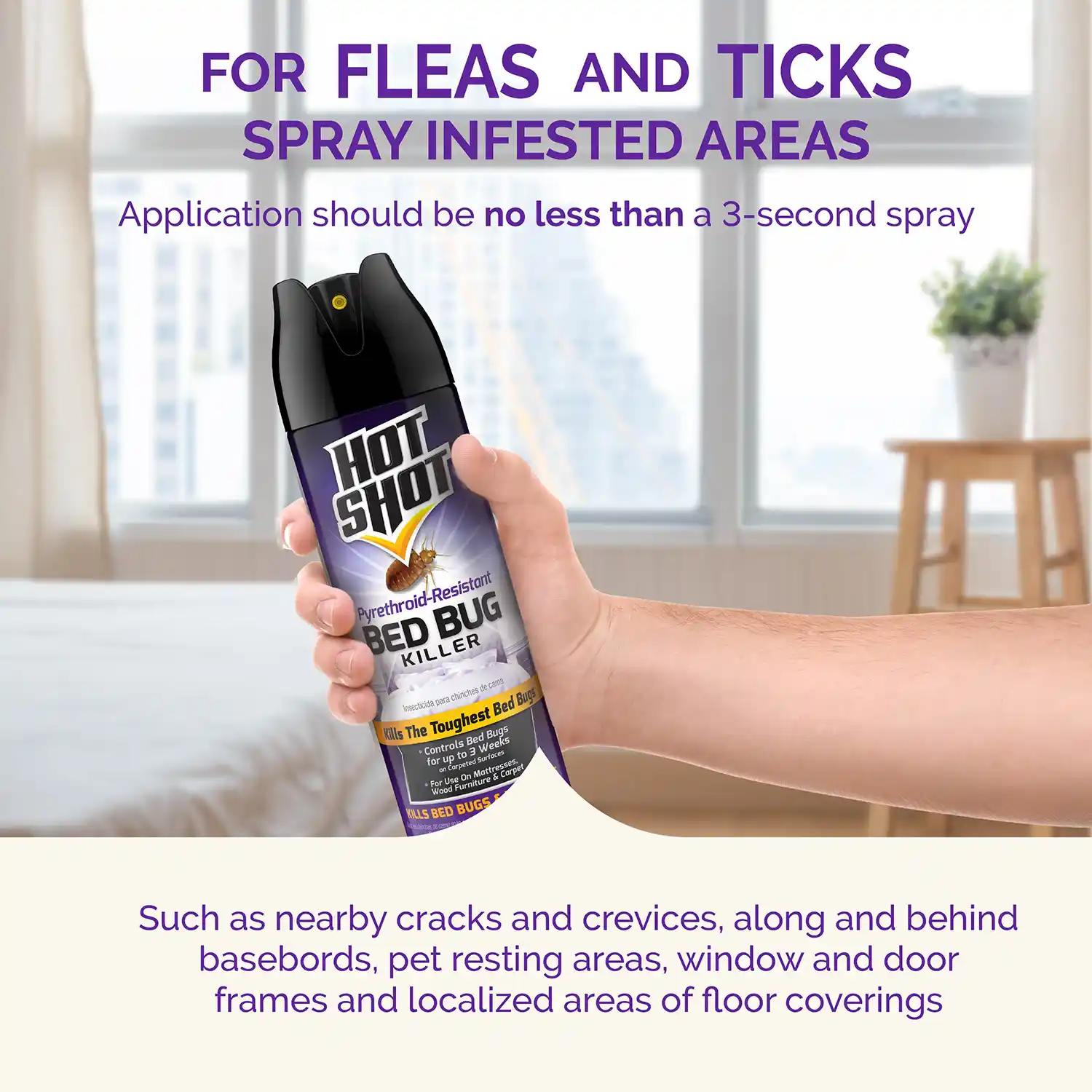 bed bug sprays that work