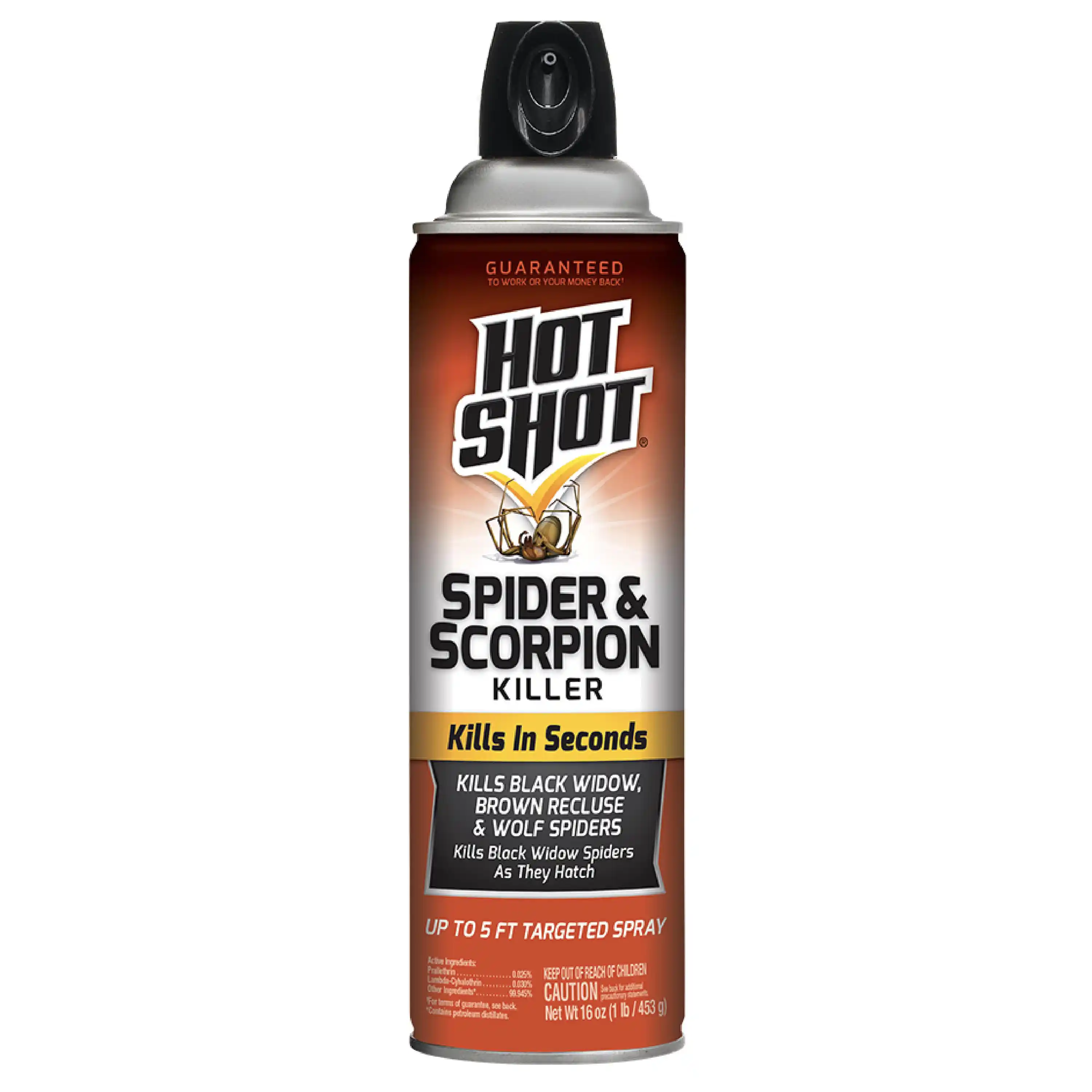 spider killer bug spray