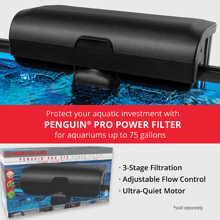 High Definition LED Ensemble Aquarium and Stand 60 Gallon