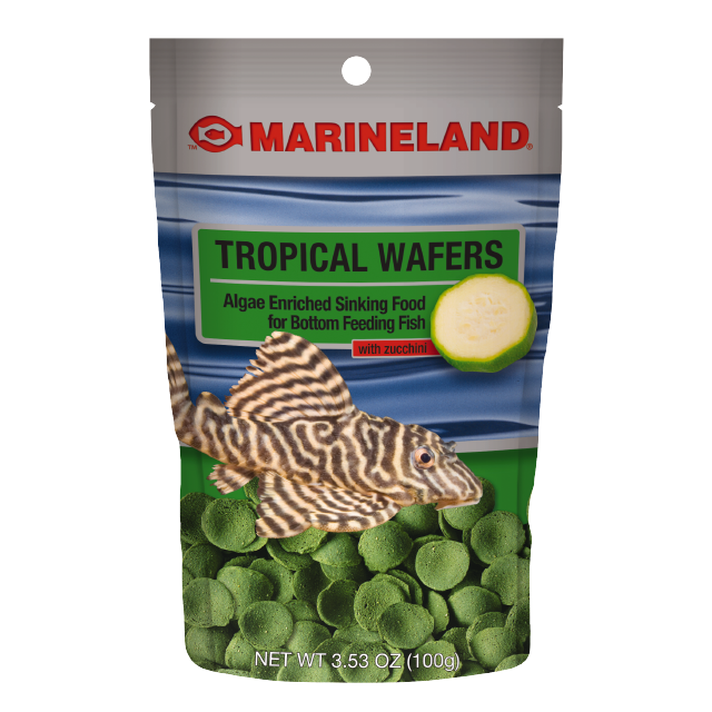 algae wafers