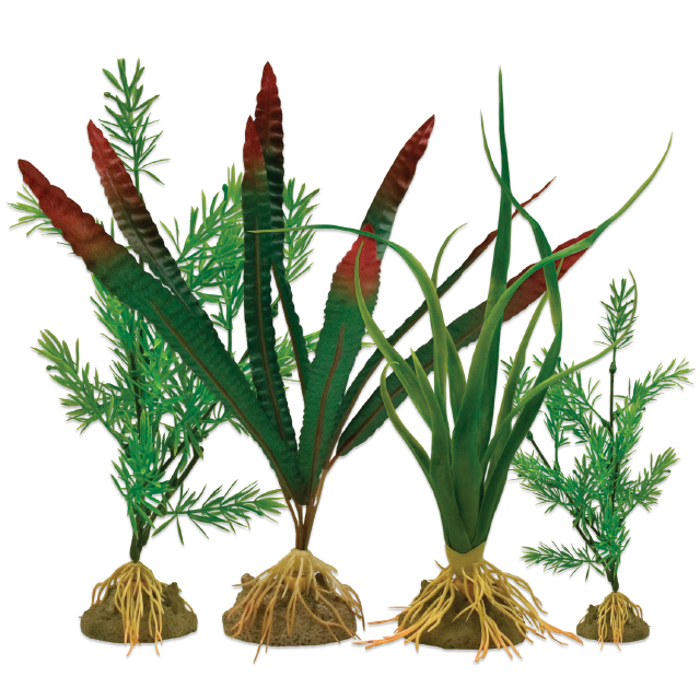 Silk Plant Multi-Packs