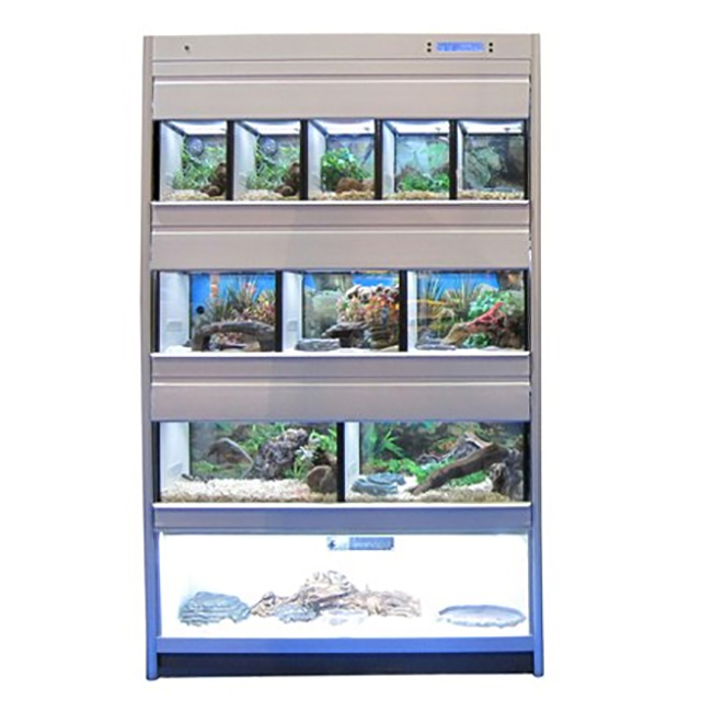Reptile Display System