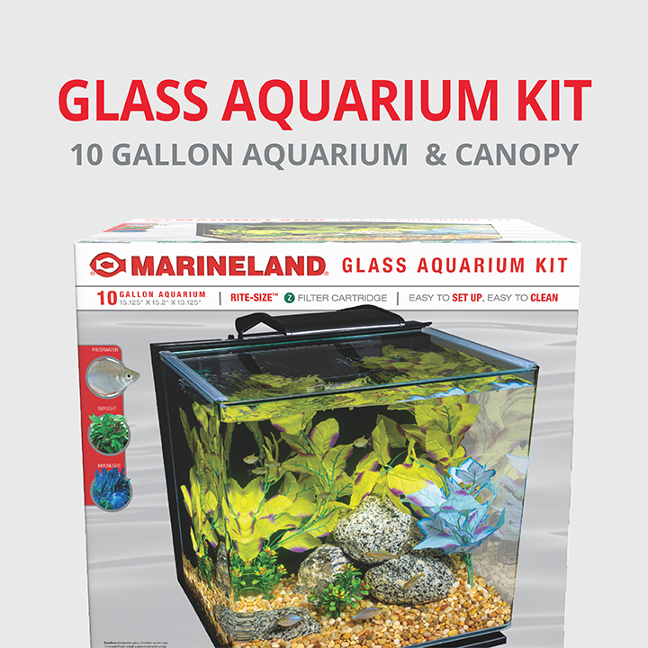 10 Gallon Glass Aquarium Kit