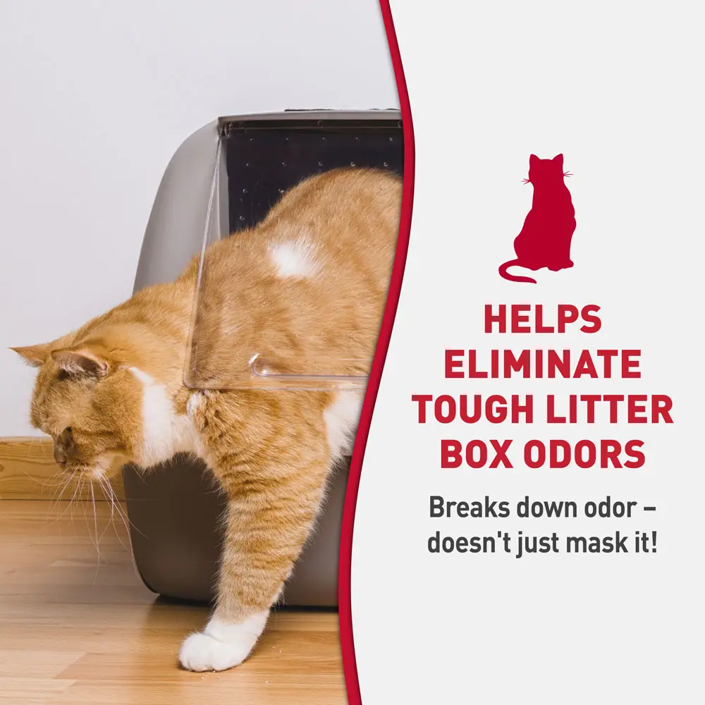 combat litter box odor