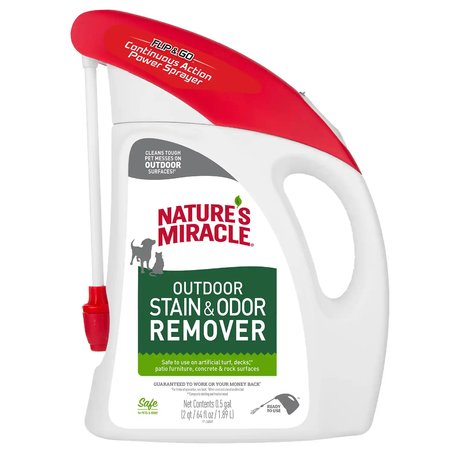 can dogs do front flips