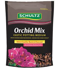 orchid seed medium