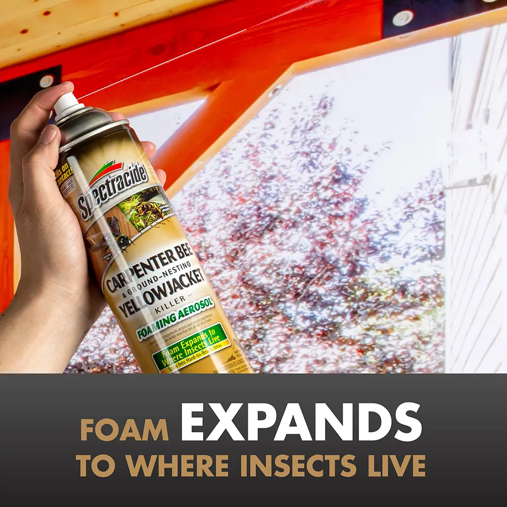 carpenter bee killer