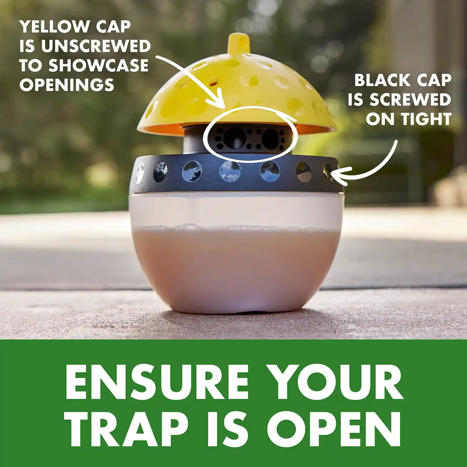 high efficiency wasp trap