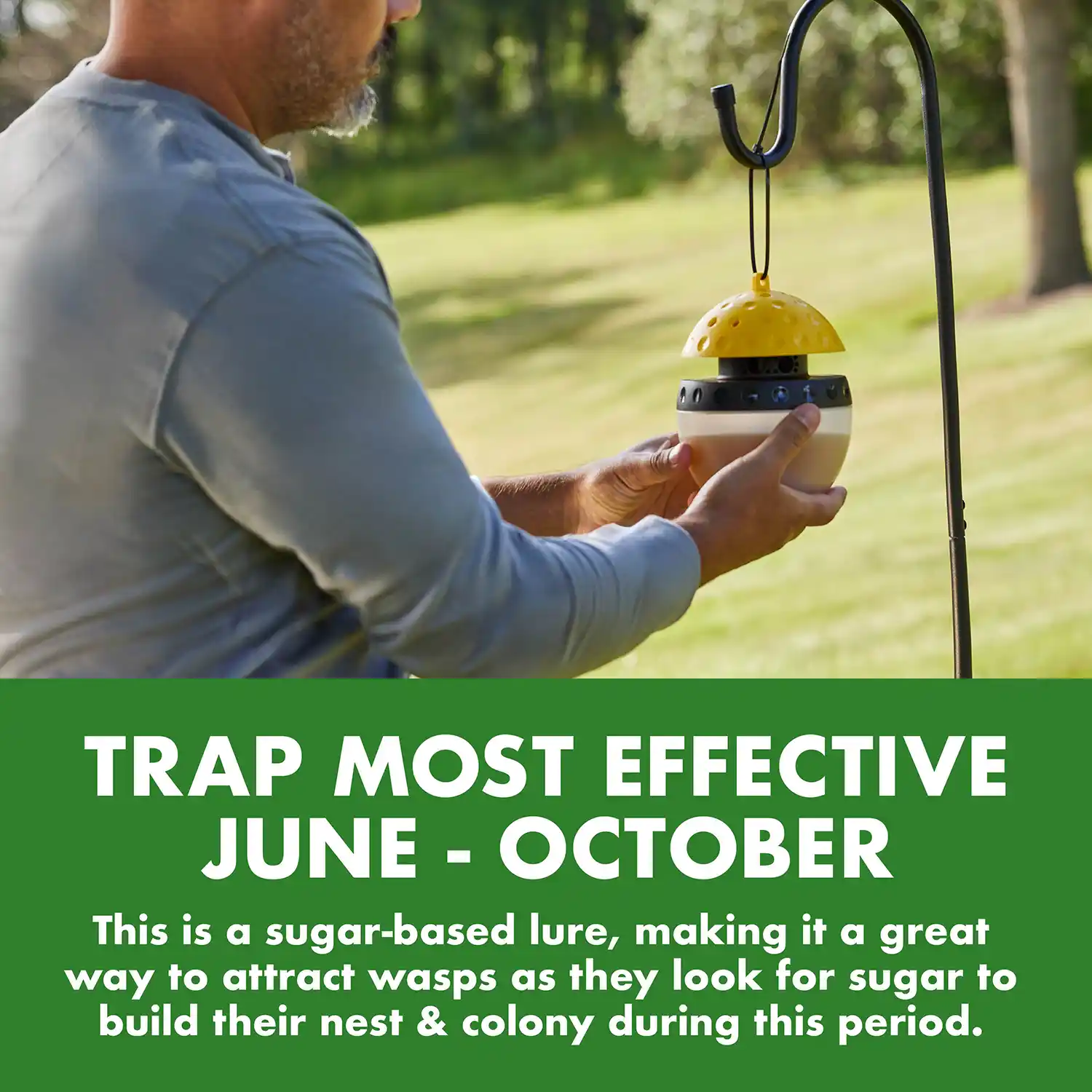 high efficiency wasp trap