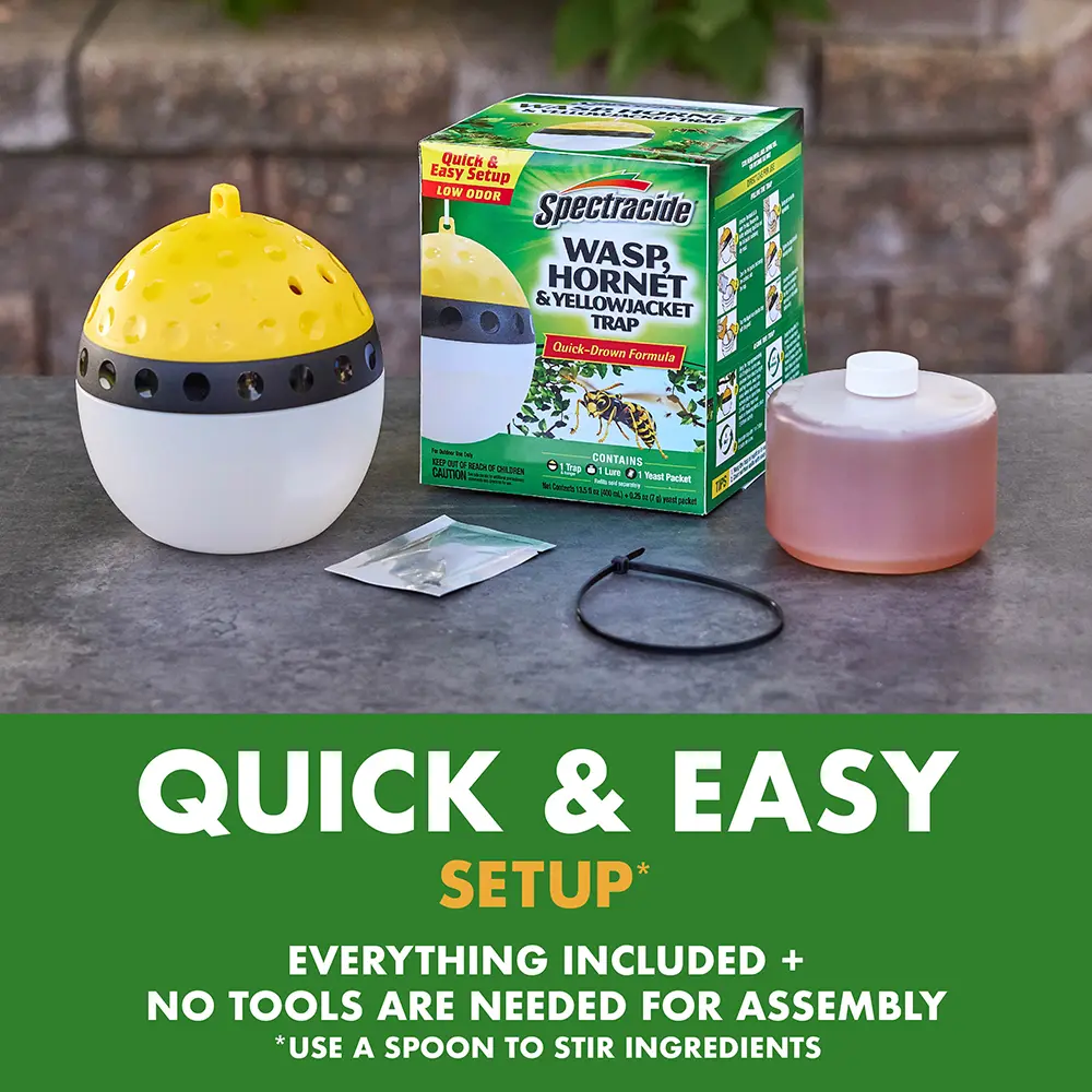 high efficiency wasp trap