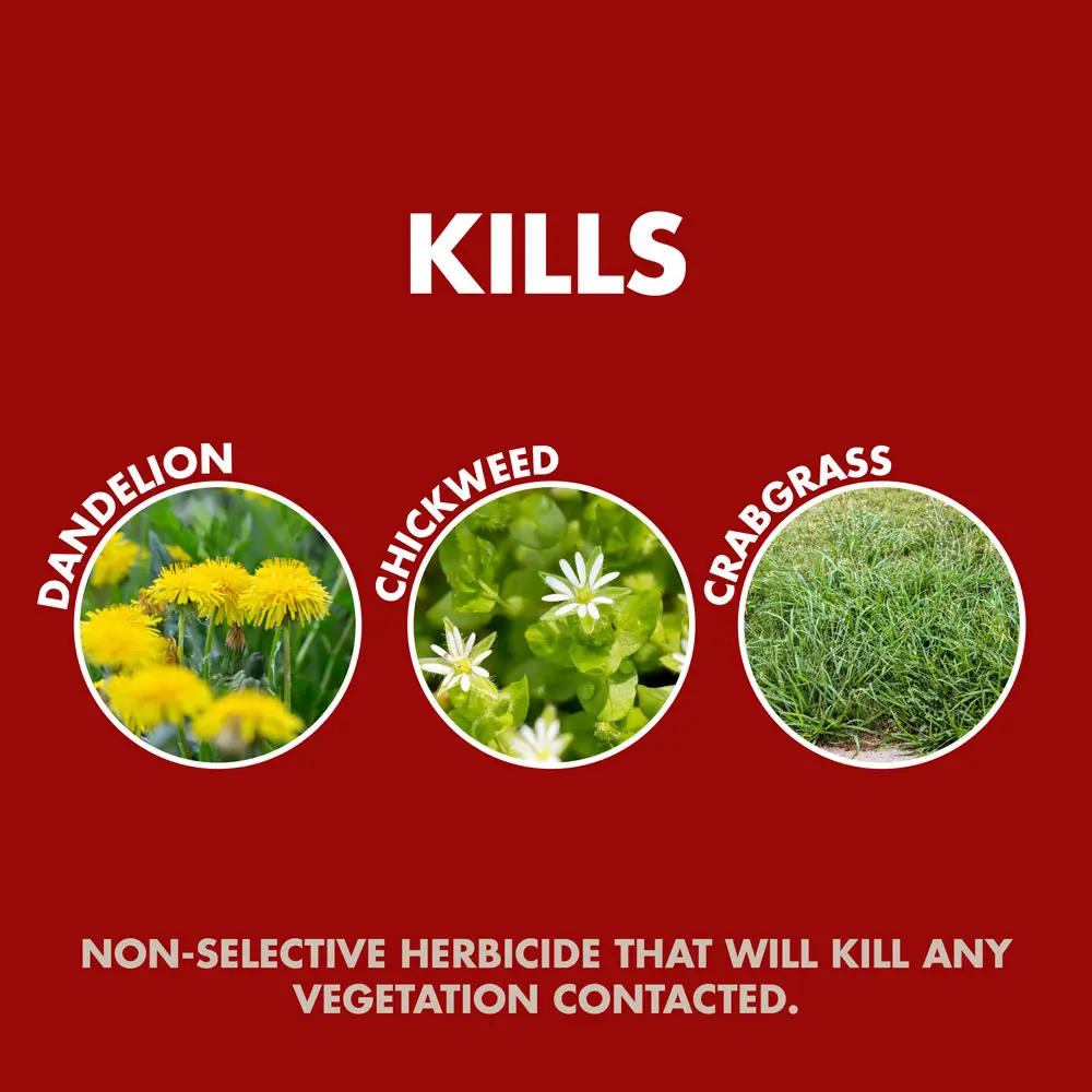 what does weed killer kill