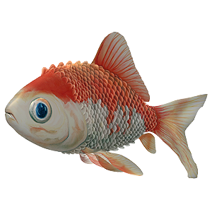 Fish illnesses How to spot them