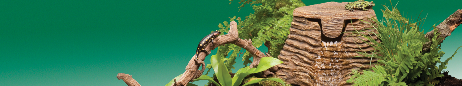 Semi Aquatic Terrarium