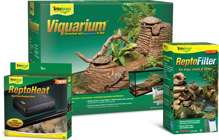 Semi Aquatic Terrarium