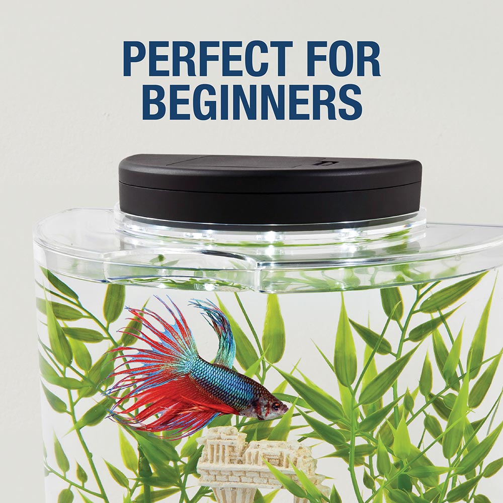 LED Half Moon Betta Aquarium Kit