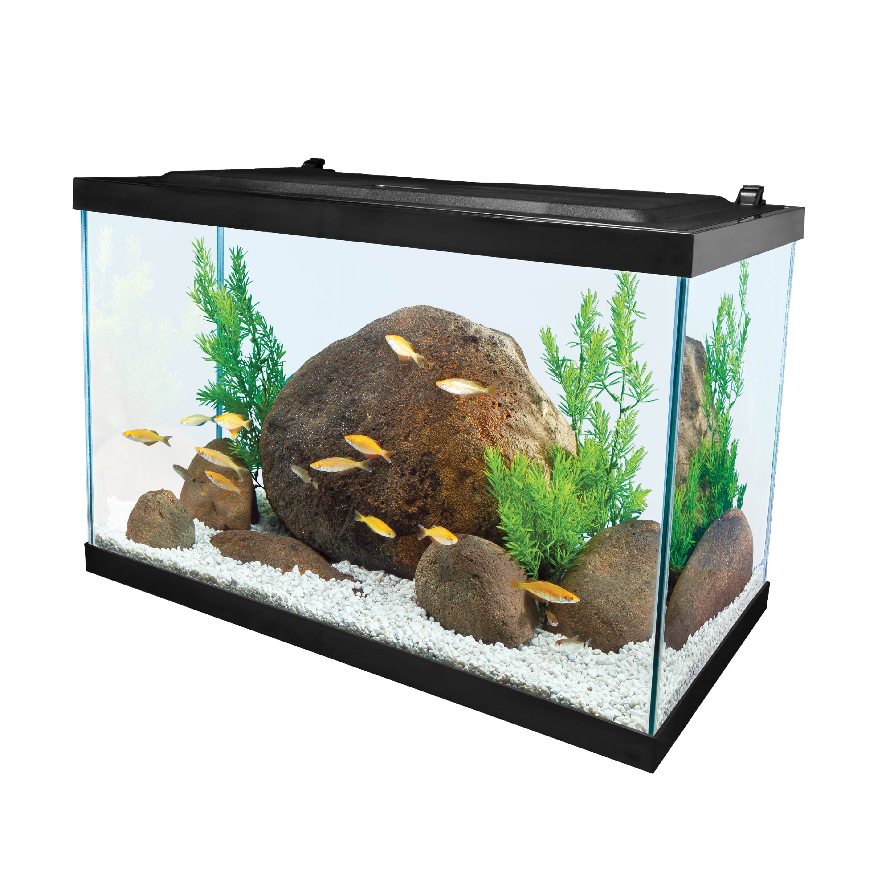 Complete LED Aquarium Kit 20 Gal