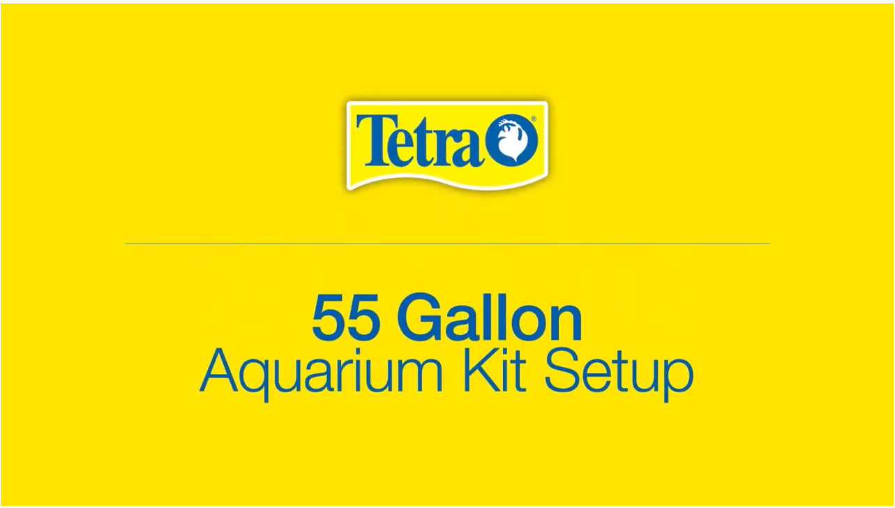 55 Gallon Aquarium Kit Guide: Best Setup Tips For 2026 - Insider Fish